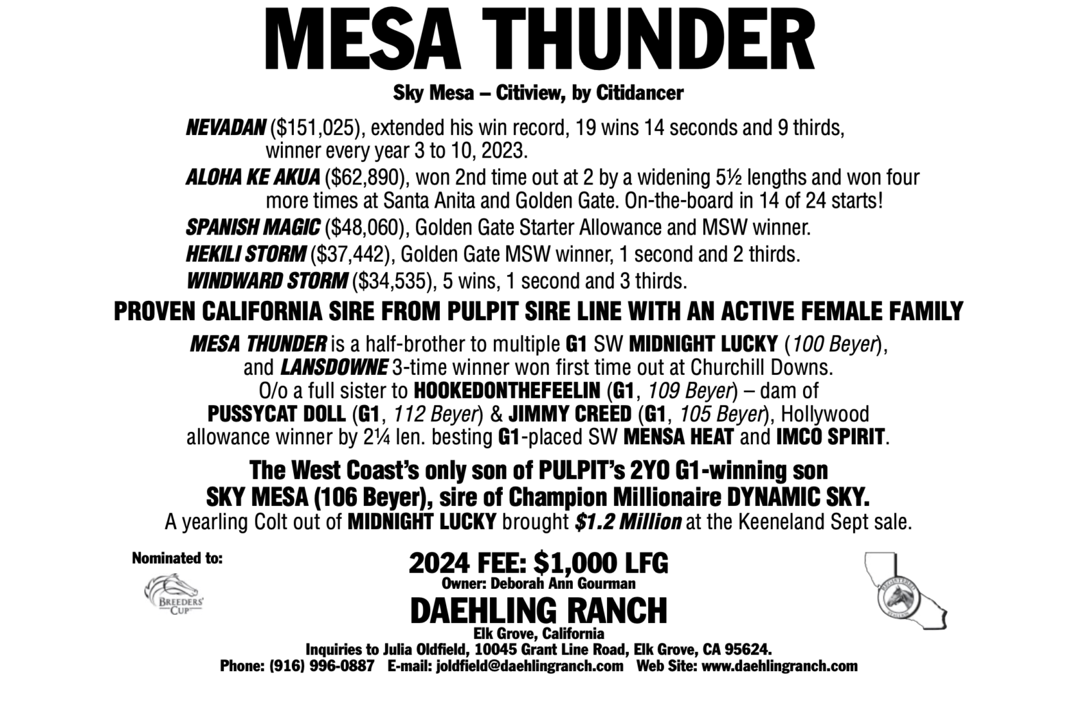 MESA THUNDER'S STATS PAGE